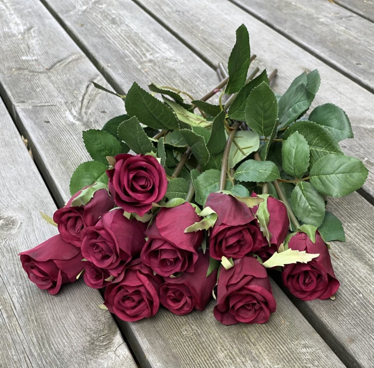 Vinröd ros med gröna blad