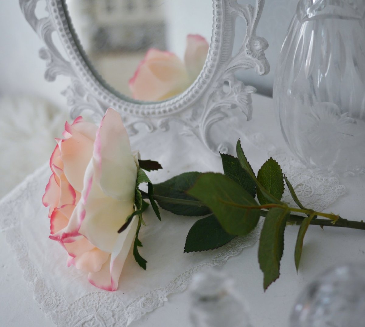 Stor utslagen rosa ros med lång stjälk