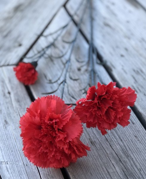 Röd Nejlika konstblomma med flera blommor - Den vita Julen