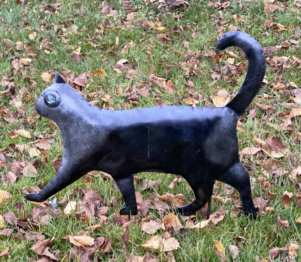 Katt i hamrad plåt med ögon trafik varnare